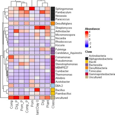Heatmap With Relative Abundance Of The Main Bacterial Genera At 4 Download Scientific