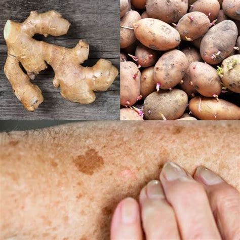 Secrets Of Li Ching Yuen The 256 Year Old Chinese Herbalist Green Tricks