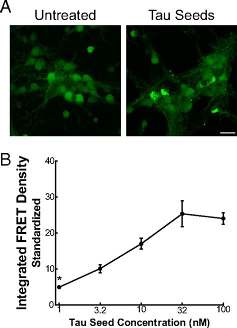 Proteopathic Tau Seeding Predicts Tauopathy In Vivo Pnas