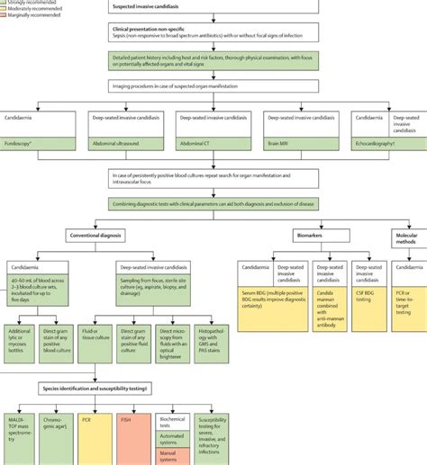 New Global Guideline For Candidiasis Life Worldwide