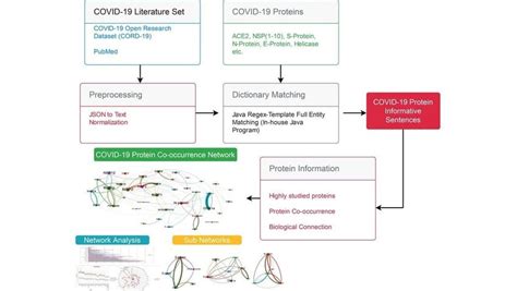 The Schematic Architecture Of The Text Mining Approach For The Download Scientific Diagram