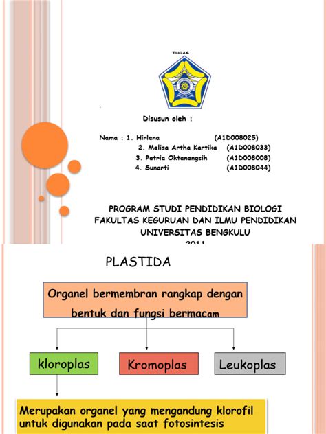 Presentation Cell Biology Pdf Kesehatan Holistik