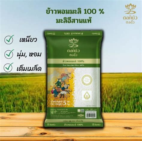 ข้าวหอมมะลิ 100 ตราดอกบัวตงฮั้ว ข้าวหอมมะลิอีสานแท้ หอม เหนียว นุ่ม ขนาดบรรจุ 5 กิโลกรัม