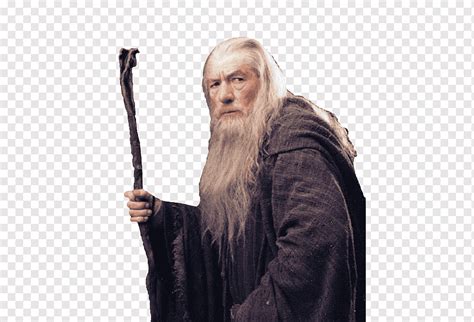반지의 제왕 간달프 간달프 반지의 제왕 반지 레골라스의 원정대 간달프 Image 파일 형식 머리 필름 Png Pngwing