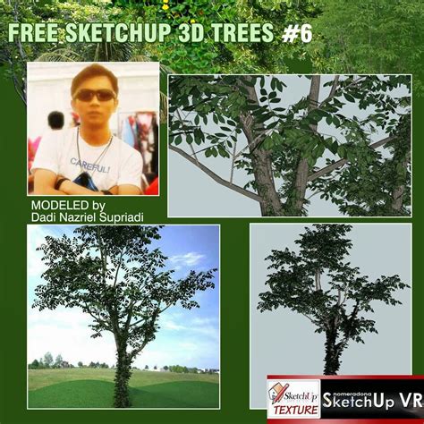 Free Sketchup 3d Model Tree 6 Model Tree Model 3d Model