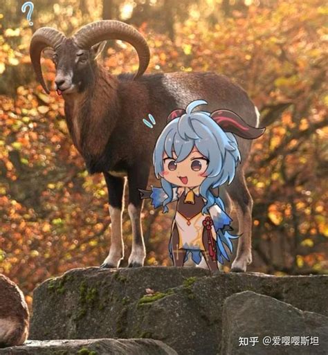 原神微信群 知乎