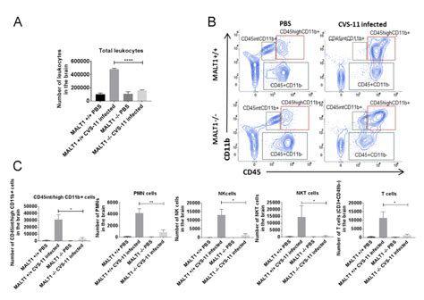 Flow Cytometrical Analysis Of Inflammatory And Immune Cell Activation Download Scientific