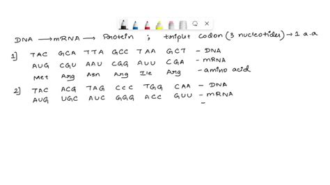 Solved Genetic Code Practice Problems Use The Sequence Provided To Determine The Blank