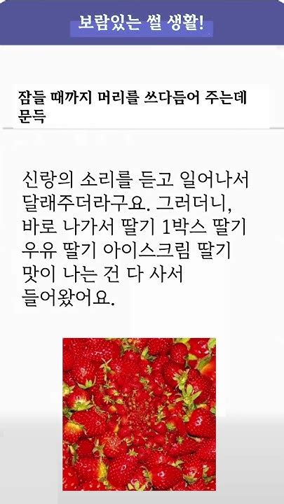 잠들 때까지 머리를 쓰다듬어 주는데 문득 Youtube