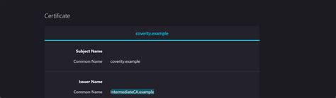 How To Properly Configure Coverity Cloud Deployment With Tlsssl