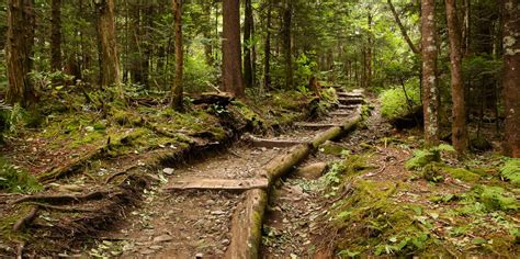 Smoky Mountains National Park Trails