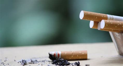 13 Formas De Mantener Los Pulmones Sanos