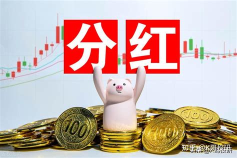 A股股息率最高的100支股票截至2023 5 3 知乎