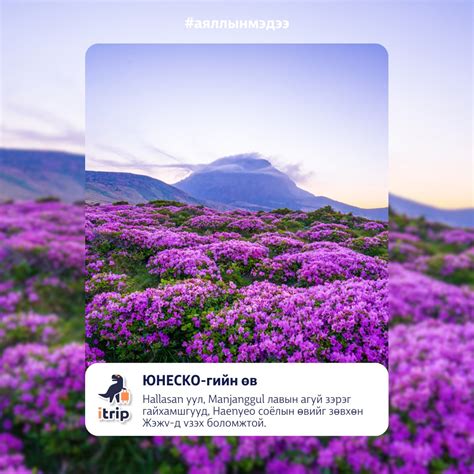 Itrip Itrip Added A New Photo