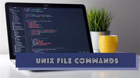 10 Unix File Management Commands That Every Developer Should Know By Shalitha Suranga Level