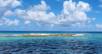 기후 변화로 사라질 위기가라앉고 있다 섬나라 투발루 호소 기후위기 환경문제 해수면상승 영향 네이버 블로그 기후 변화로 사라질 위기가라앉고 있다 섬나라 투발루 호소 기후위기 환경문제 해수면상승 영향 네이버 블로그