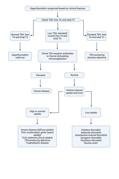 Hyperthyroidism Nursing Statpearls Ncbi Bookshelf