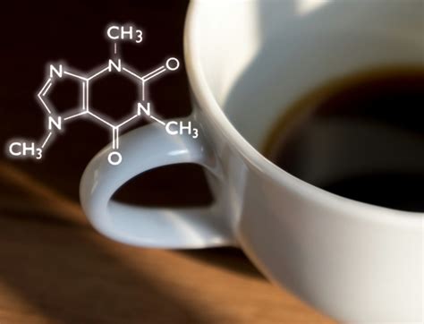 커피계의 와인 콜드 브루 속 화학 이야기