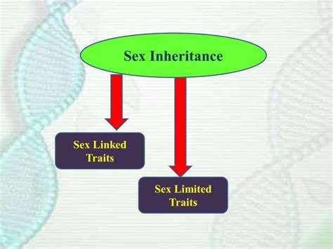 Sexinfluence Sex Linked And Sex Limitedtraits Pdf