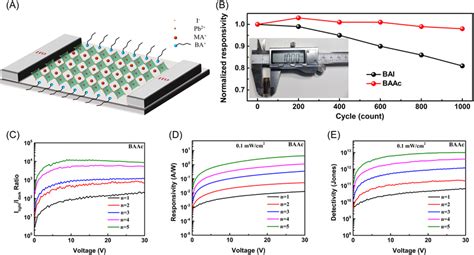 Flexible Photodetectors A Schematic Of The 2drp Perovskite Films