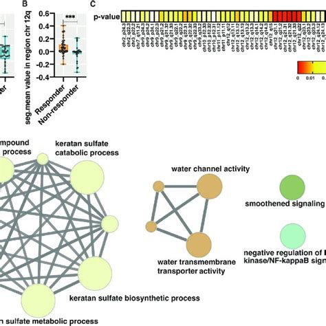 Somatic Copy Number Alterations In Specific Regions Of Escc A And B