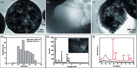 The Sem Images Series 1 Bsed Images Series 2 Se Images Series 3 Download Scientific