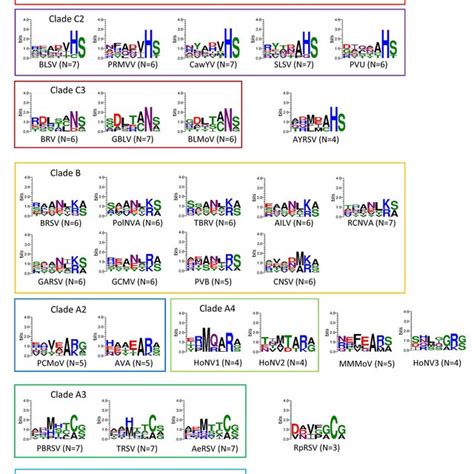 Sequence Logos For The P6 To P1 Positions Of Cleavage Sites Download Scientific Diagram