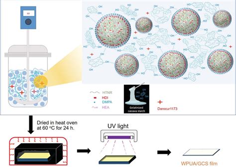 Uv‐cured Waterborne Polyurethane Acrylategelatinized Cassava Starch Download Scientific