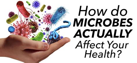 Understanding Microbes A Holistic Approach To Health The Elite
