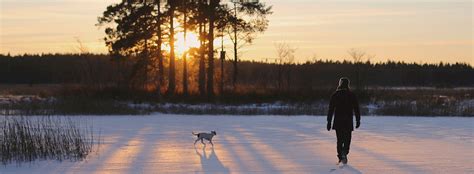 Välkommen Hem Till Sala