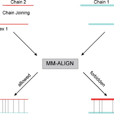 an illustration of the chain joining procedure in mm align both chains