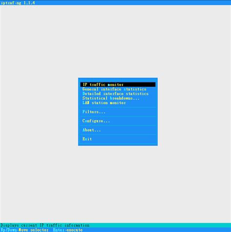 即時監控異常流量 Iptraf Ng 黑手的挨踢工作紀錄