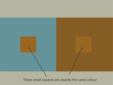 WHAT IS COLOUR Life Blooms