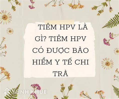 Ti M Hpv L G Ti M Hpv C C B O Hi M Y T Chi Tr
