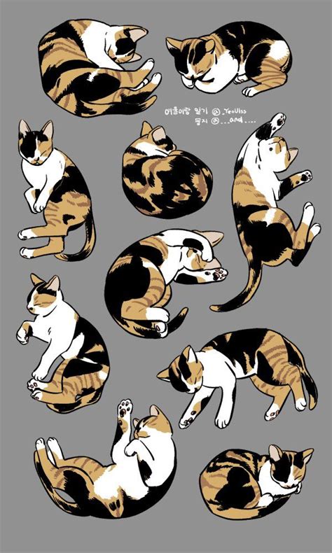 Cute Cat Artofit