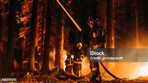 숲 속 깊은 곳에서 산불을 진압하는 경험 많은 소방관들 안전 유니폼을 입은 전문 소방관이 위험한 산불과 싸우기 위해 소방 호스에서 물을 뿌린다 소방관에 대한 스톡 사진 및