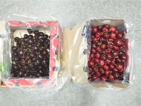 车厘子大降价，今年真的实现车厘子自由了吗？mm