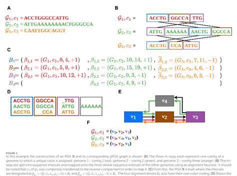 figure 1 from a layout framework for genome wide multiple sequence