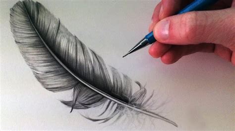 How To Draw A Feather Texture