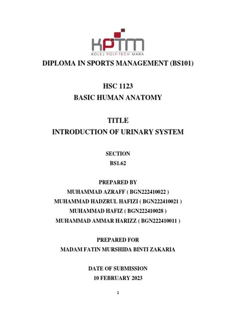 Group Assignment Anatomy Pdf Urinary Bladder Urinary Incontinence