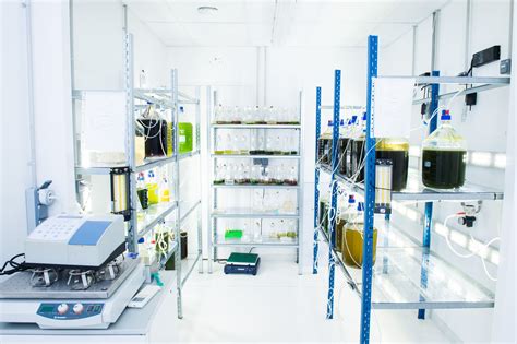 Behind The Scenes At The Worlds First Industrial Scale Microalgae Biorefinery
