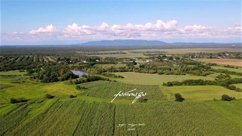 ქარიატა დავითი მარკოზია Youtube