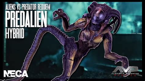 Alien Predator Hybrid