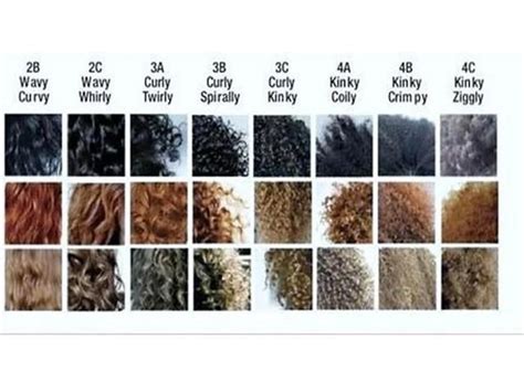 Men Hairstyles Natural Hair Types Hair Type Chart Curly Hair Styles