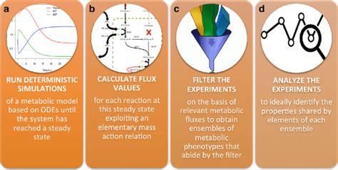 Schematic Workflow Illustrating The Four Main Phases Of The