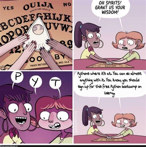 Pythons Where Its At