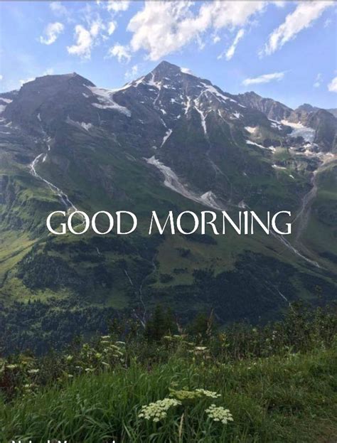 alam sher on linkedin assalam o alikum to every one may allah bless us all with emaan and good…