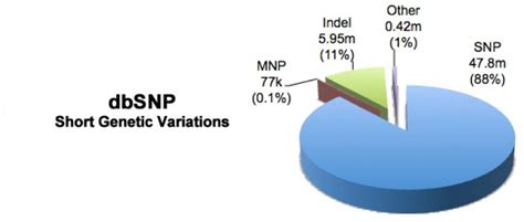 Variant Annotation With Snpeff In Depth Ngs Data Analysis Course