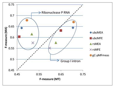 relative performance of the mea and mfe algorithms on the mt and ma