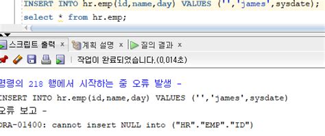 Oracle 제약 조건 Primary Key